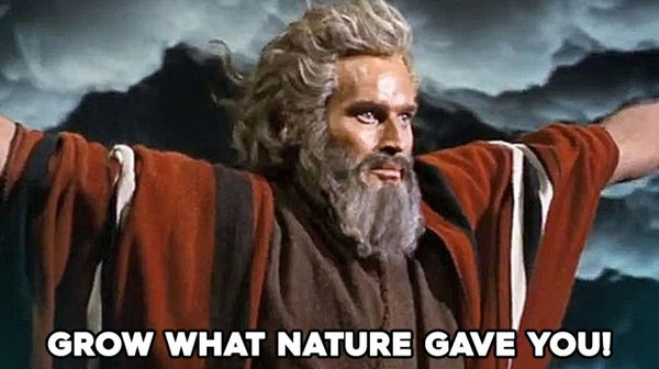 Blessed by the Beard Gods: 3 Tips to Keep That Beast at Bay – Live Bearded