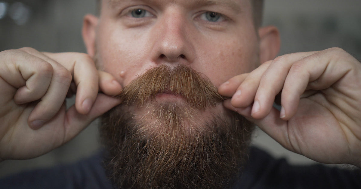 Beard Trim Update: 4 Month Beard Growth – Live Bearded