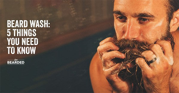 Beard Wash - 5 Things You Need to Know – Live Bearded